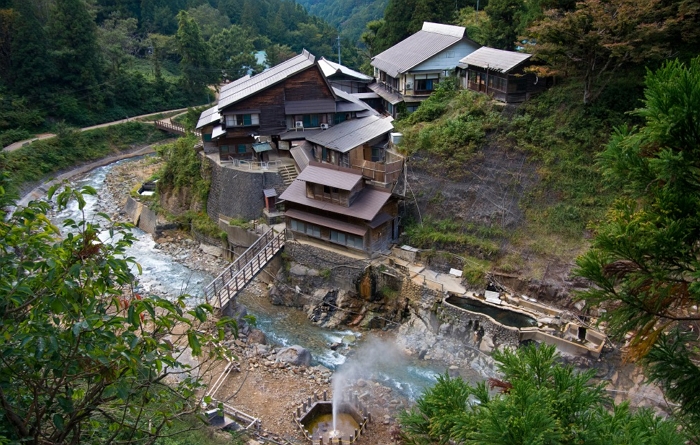 Jigokudani Yaen Koen, Pemandangan Unik Kera di Perfektur Nagano - Ryokotomo